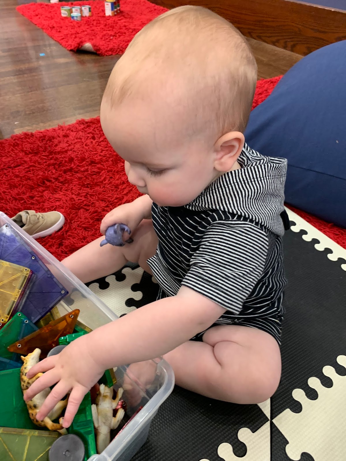 Chicka Chicka Mama: 365: Hug an Australian Day