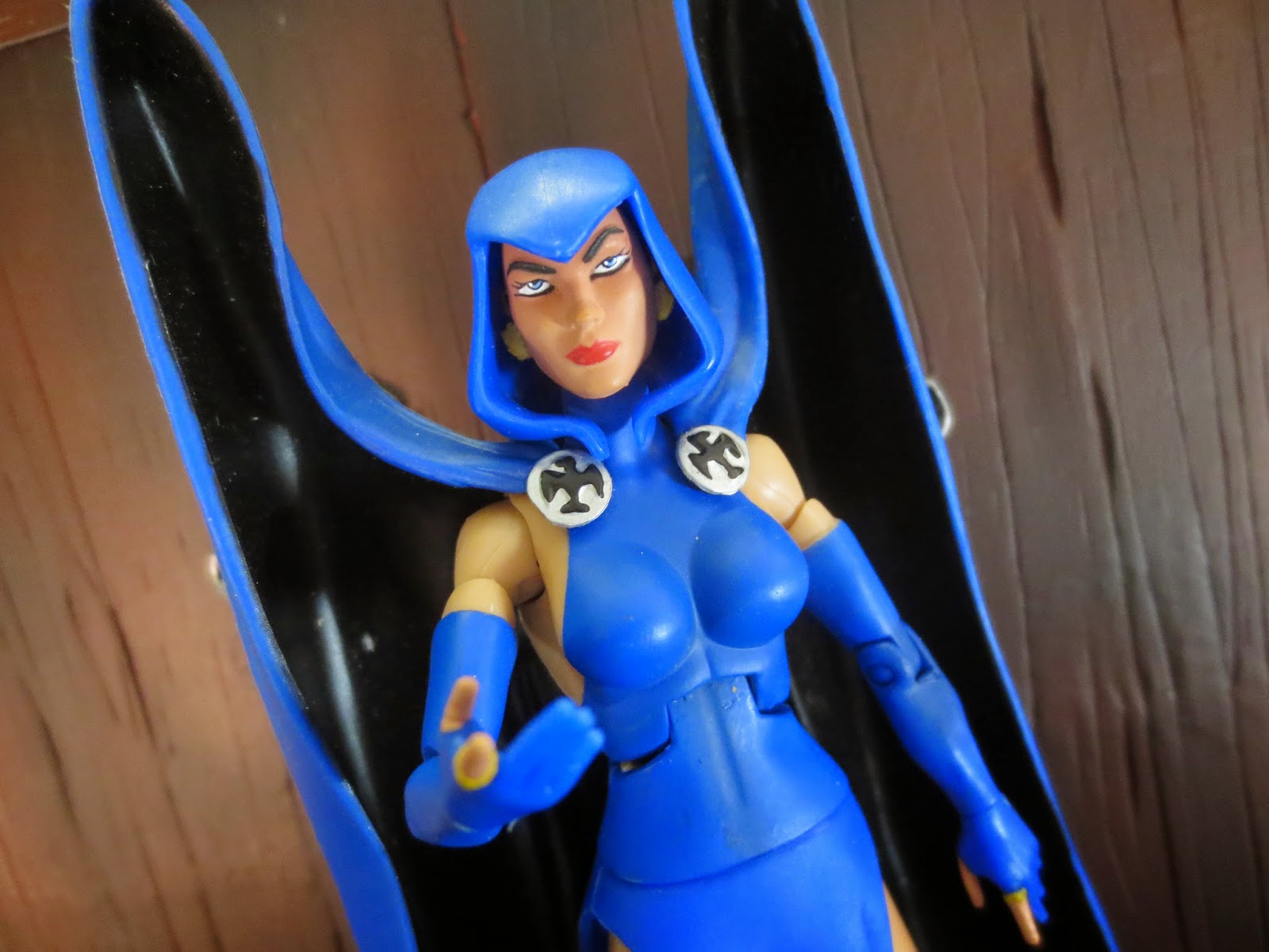 Action Figure Barbecue: Action Figure Review: Raven from DC Universe ...