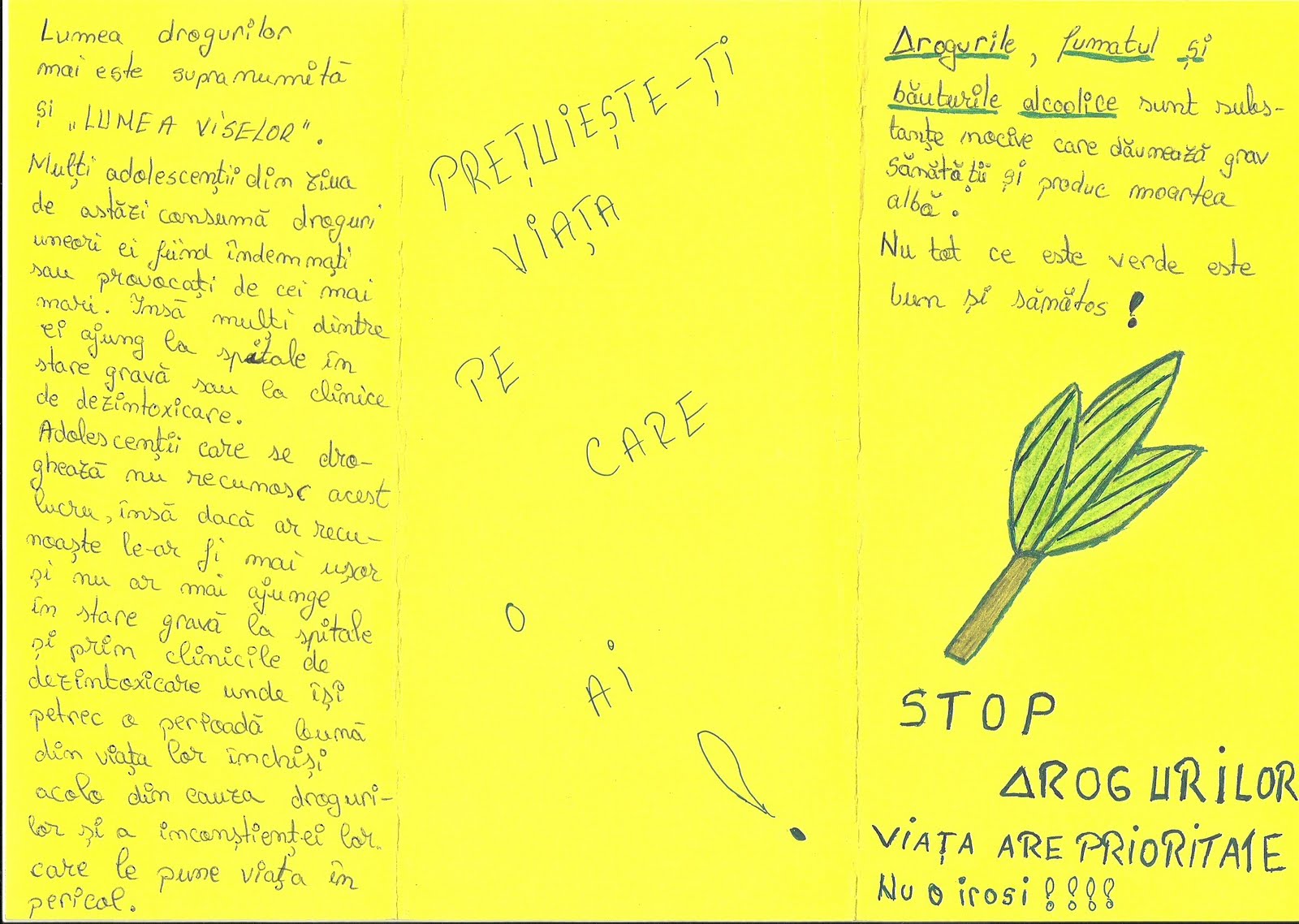 BLOGUL PROIECTULUI ANTIDROG "IMPREUNA": Pliant - stop drogurilor!