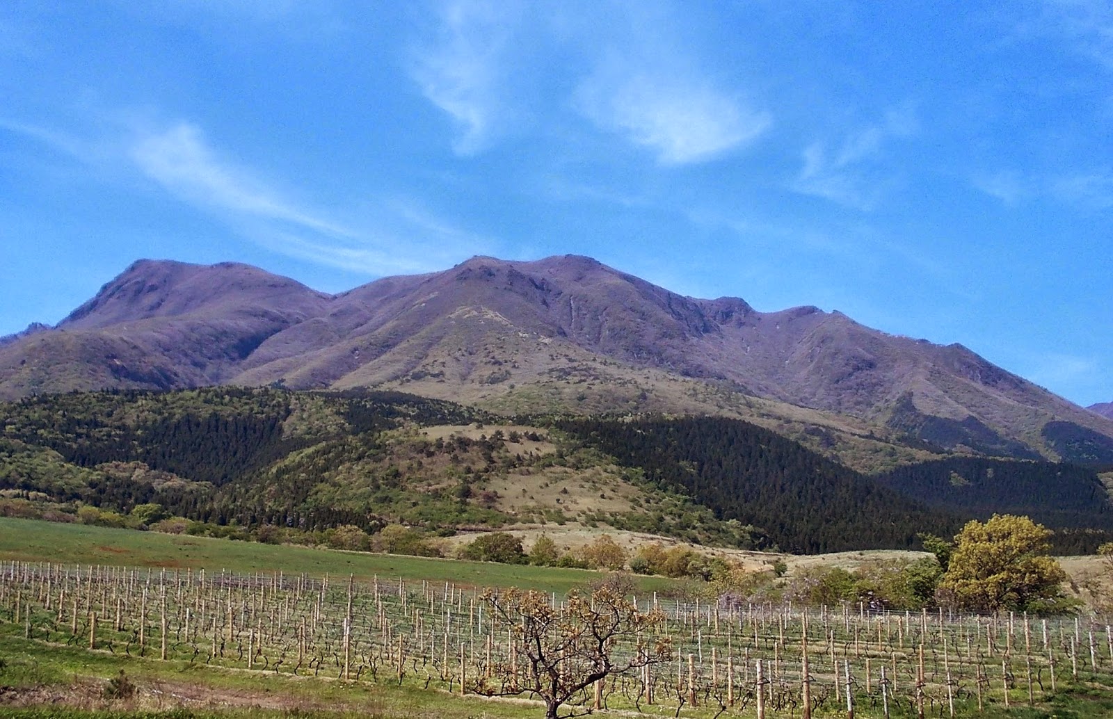KS's Blog: A view of Kuju Mountains from Kuju Pleatau