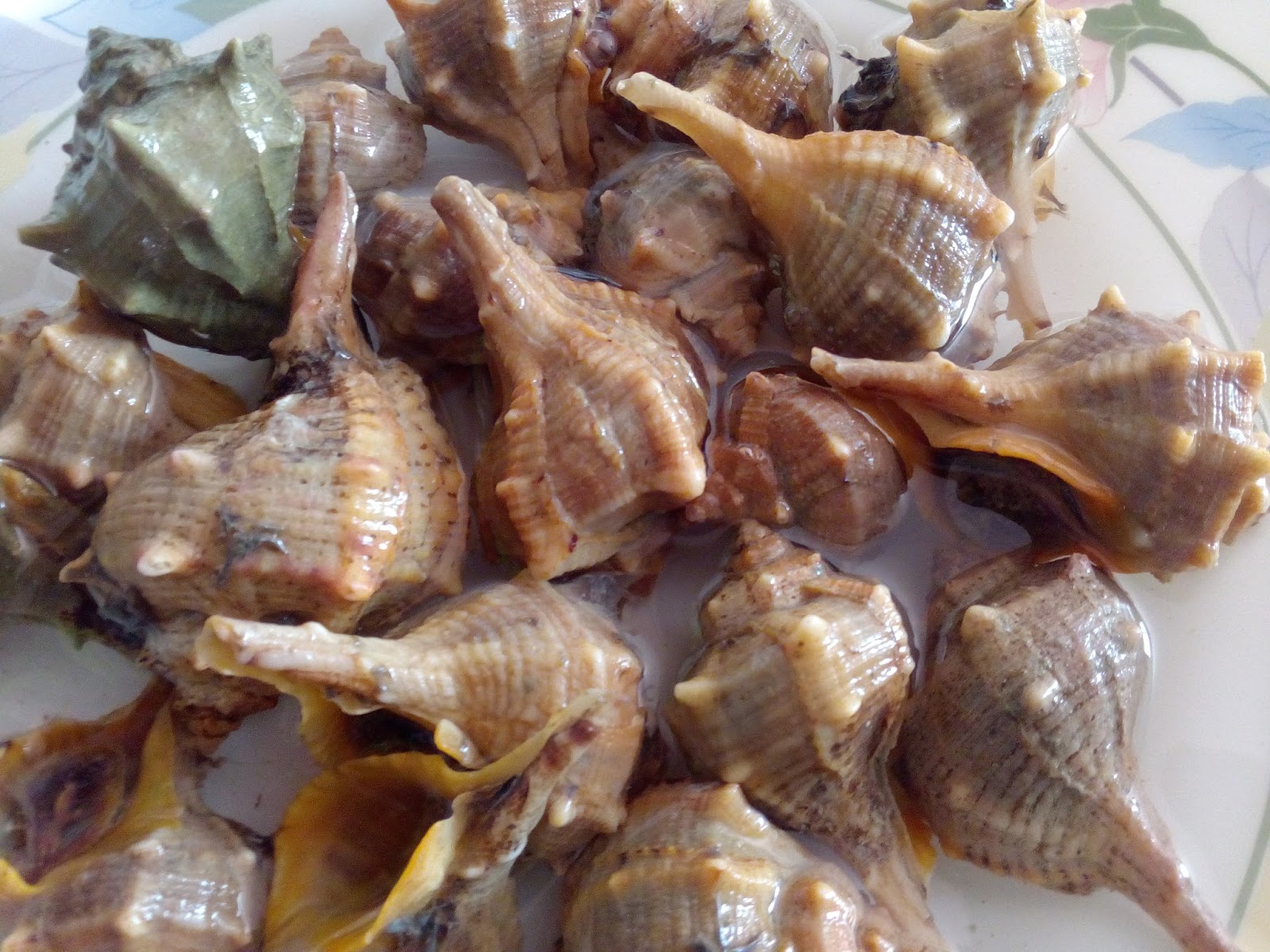 BÚSANOS COCIDOS | Mi Cocina