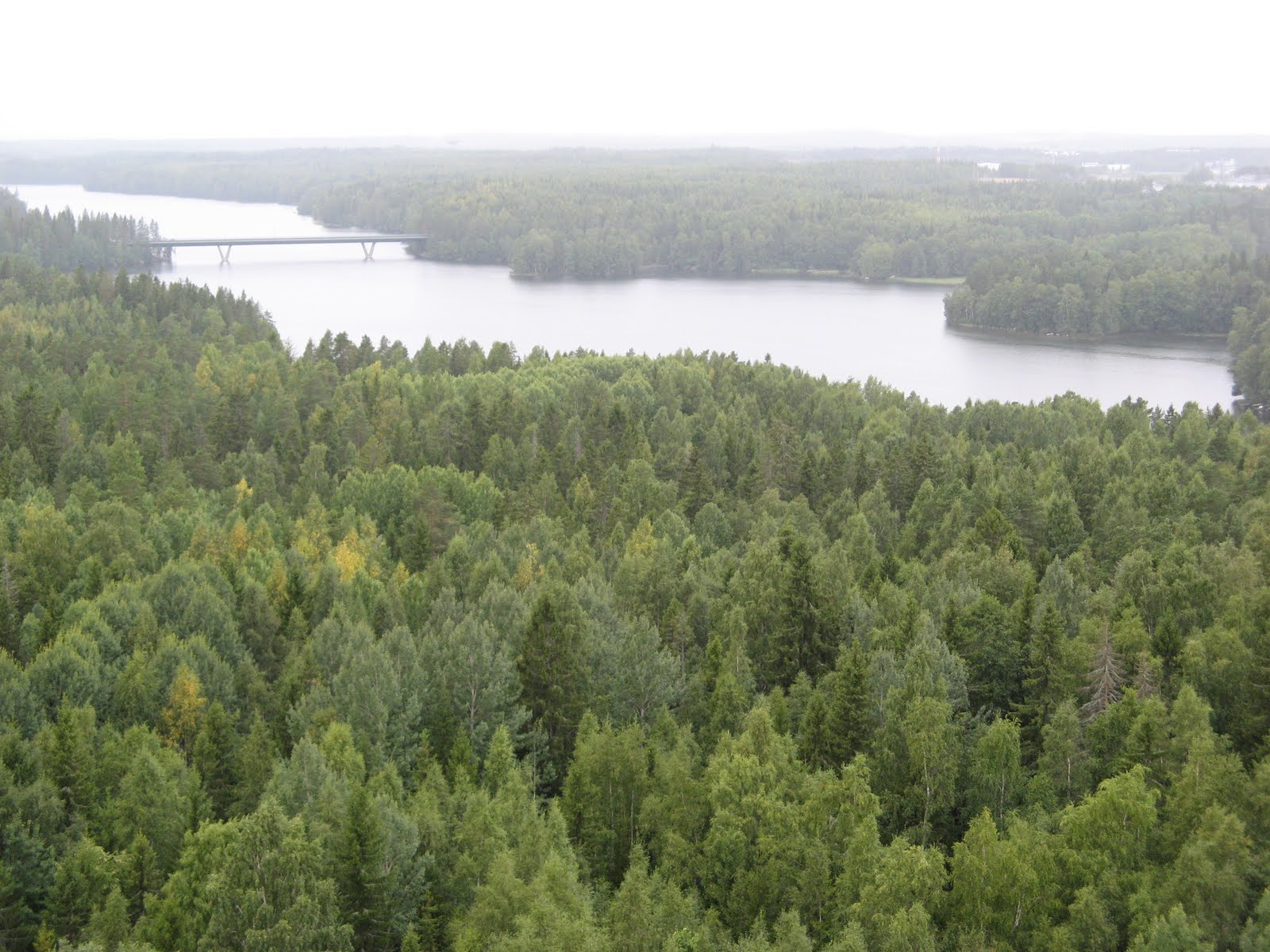 Finsko - Tampere 2011: Zajímavosti o životě ve Finsku