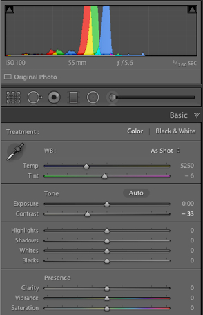 INSIGHTS: Testing Dynamic Range on My DSLR