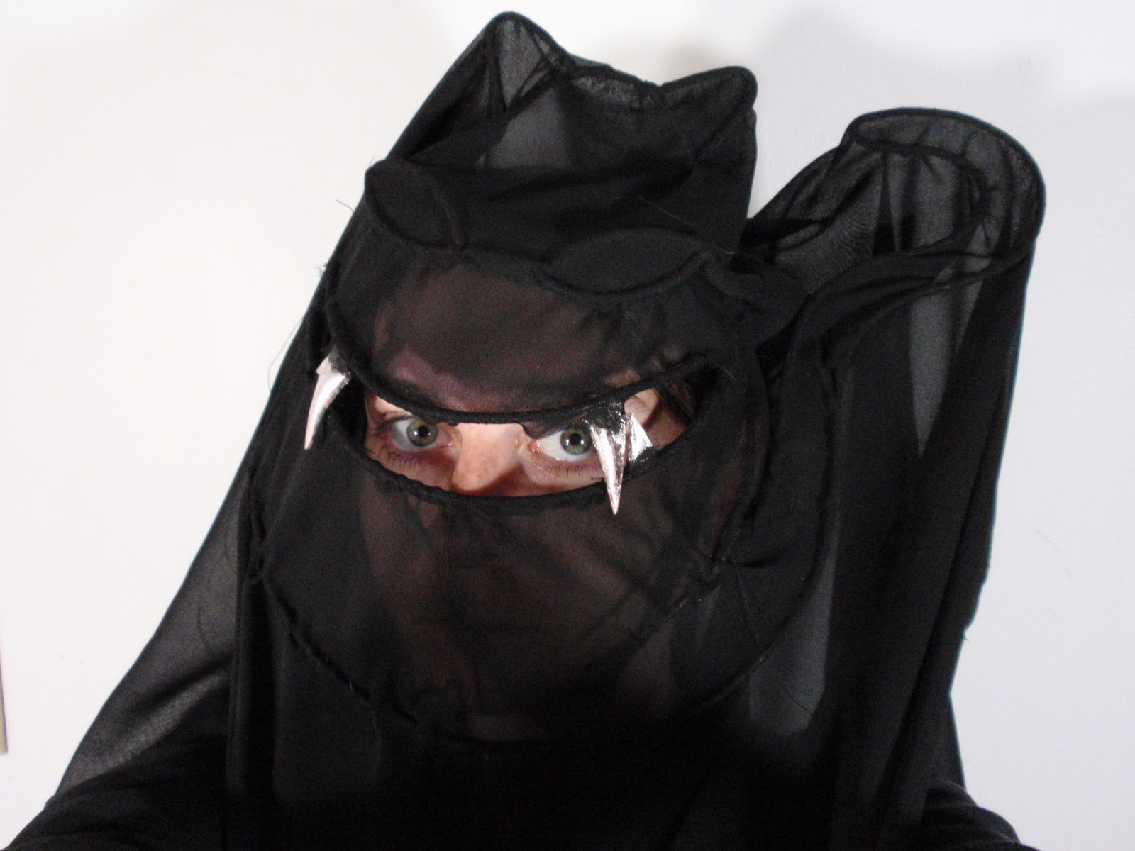 The Book of Imaginary Beings: The Cheshire Cat: Chapter 23