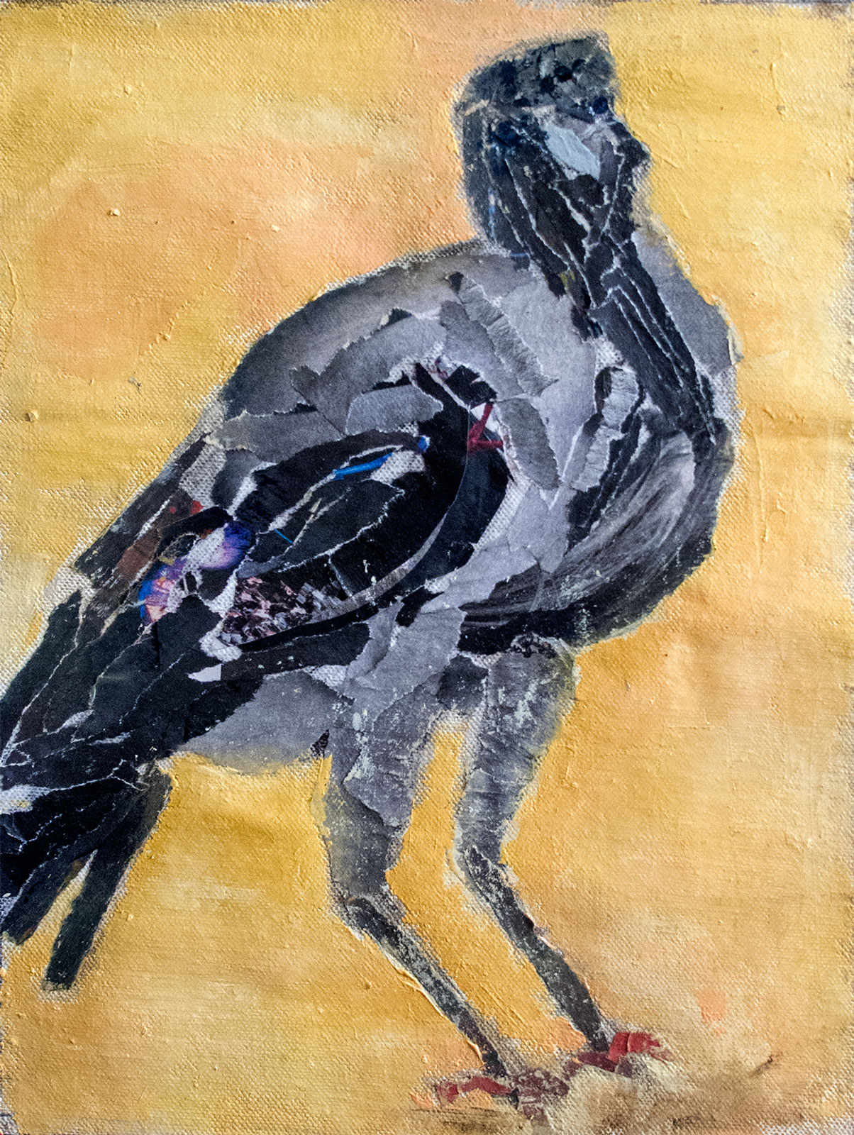 My Journey: Hooded Crow Collage