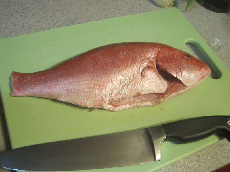 Corcoran Street Kitchen: Provencal Red Snapper
