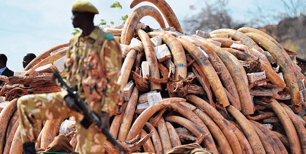 Poaching poses security threat in E.Africa - Mpembuzi