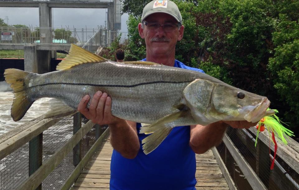 On Foot Angler: For The Love Of "SNOOK" --Mark Hightower