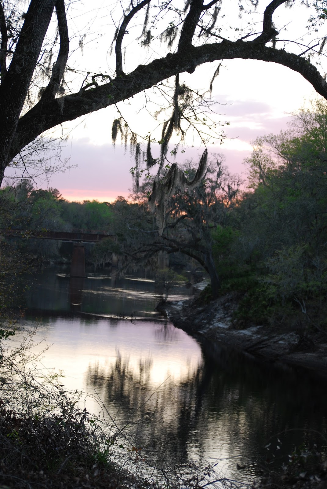 Heroes, Heroines, and History: Tidbits About the Suwannee River