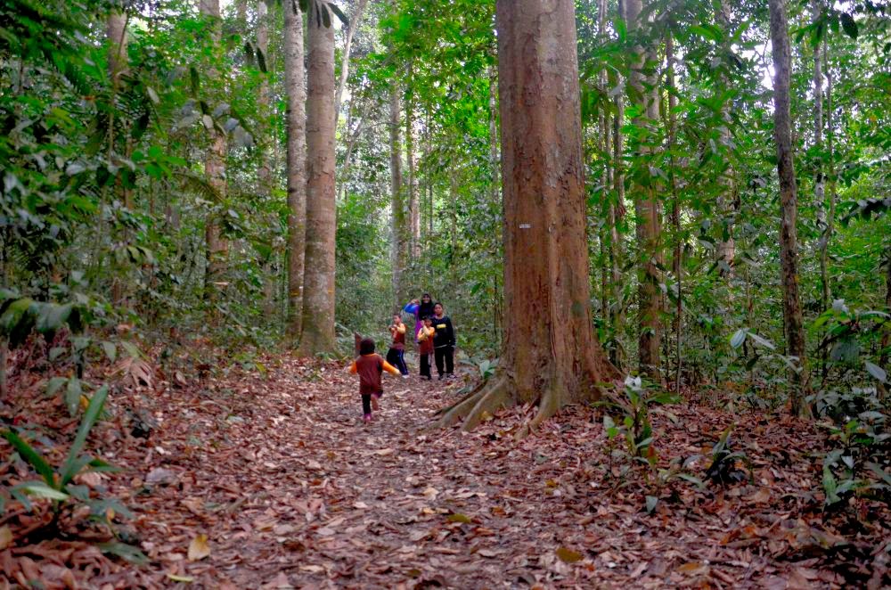 Masuk hutan FRIM Kepong | Jas-du-it