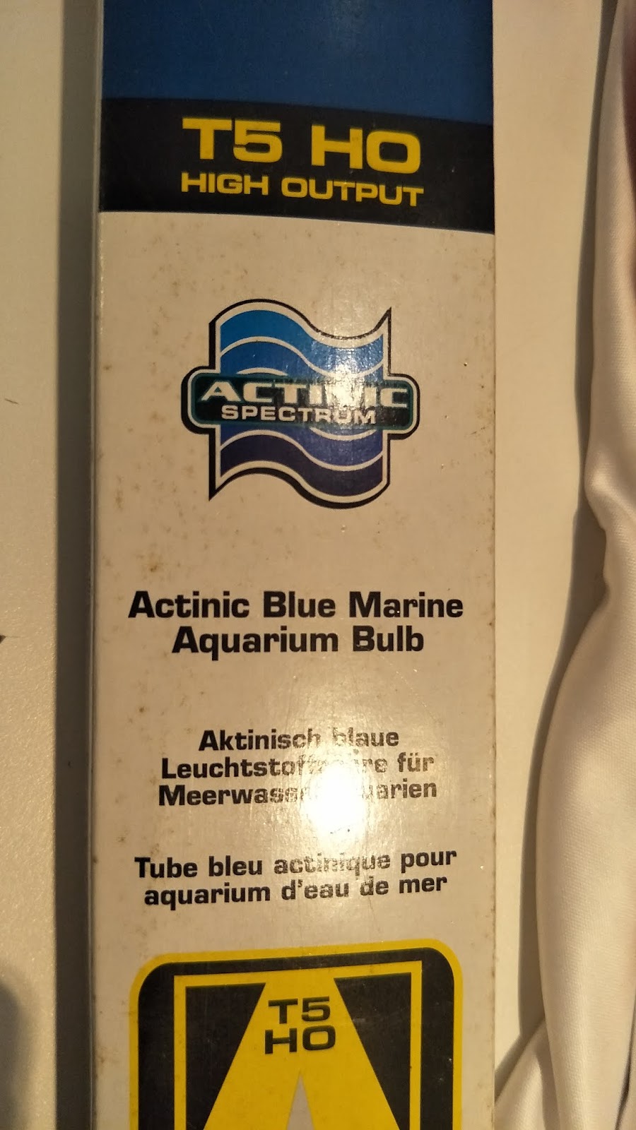 Actinic light tanning experiment