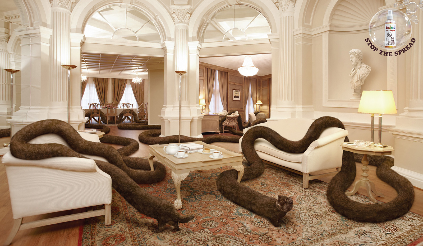 Catsparella: Snake-Like Cat Cologne Ad Illustrates How Kitties Take ...