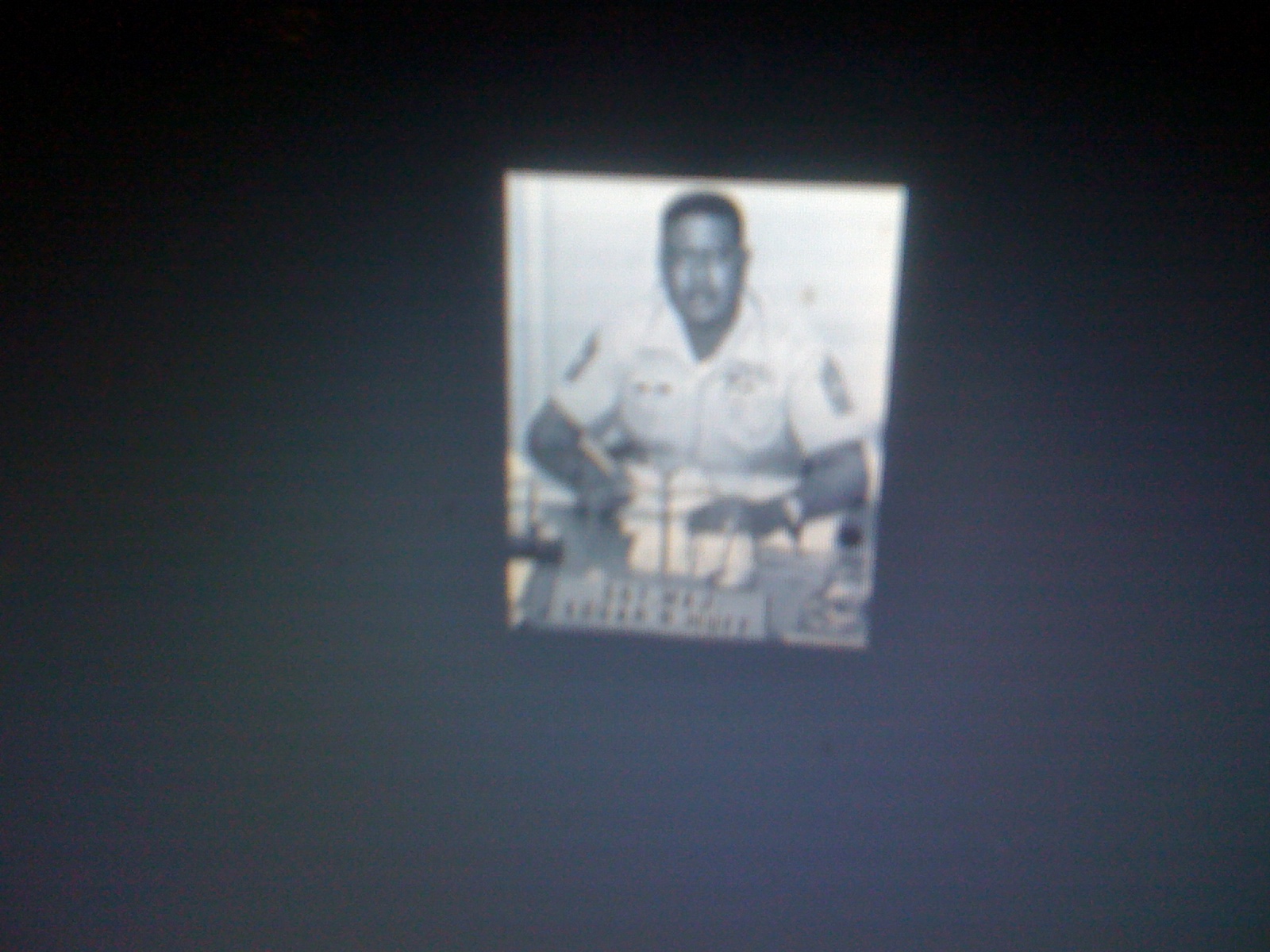 THE BLACK SOCIAL HISTORY:: BLACK SOCIAL HISTORY : AFRICAN AMERICAN ...