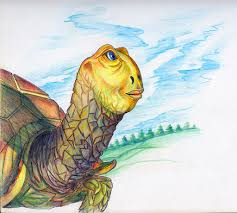The magical turtle - THE LEGENDS AND FOLKTALES