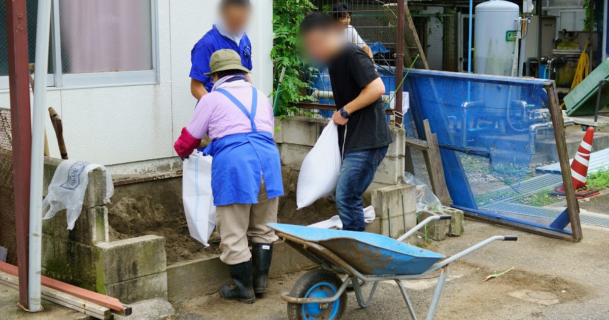 生物園の昆虫飼育ボラ、今年もウシガエルに逃げられる-まさねこ日記