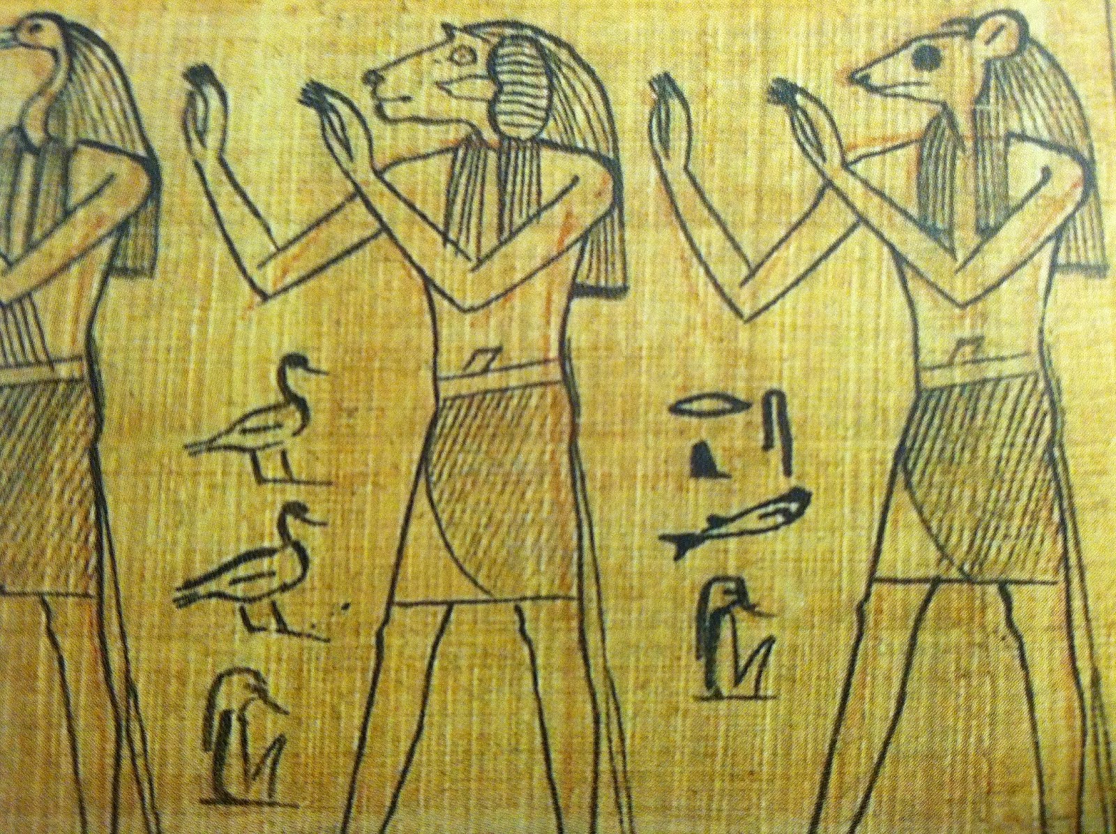 A mouse is secretly filmed tidying a man’s shed every night News | ResetEra