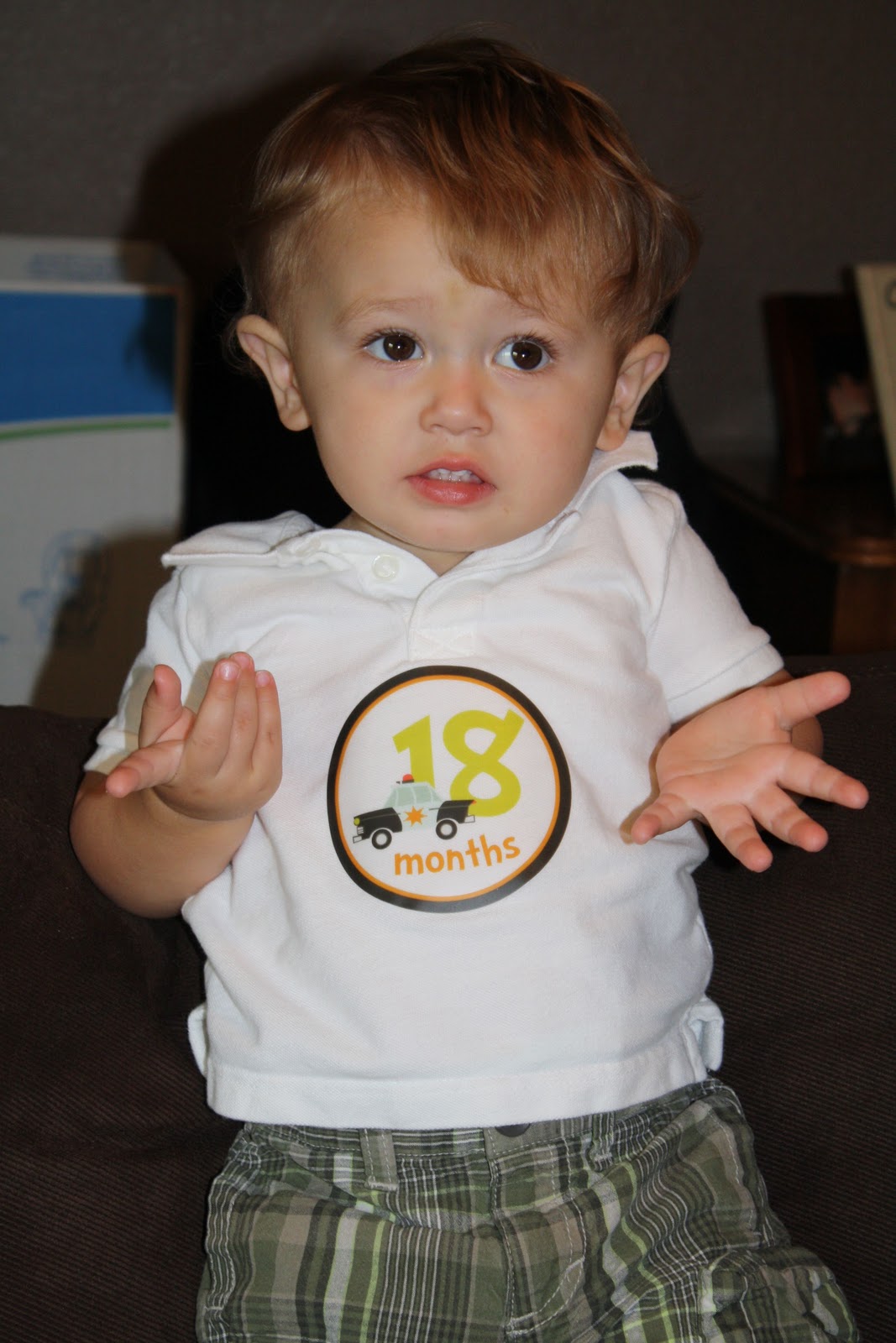 Baby McDermott: 18 & 19 Months Old