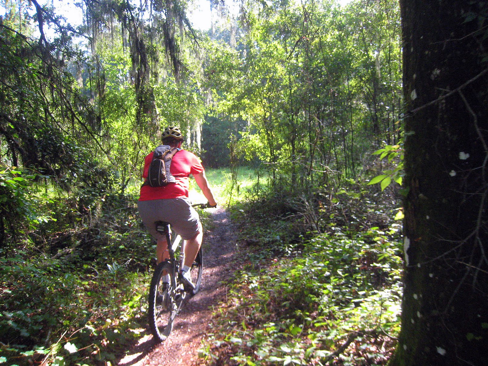 Biking with Roy: Biking the Santos Trails ,Ocala.