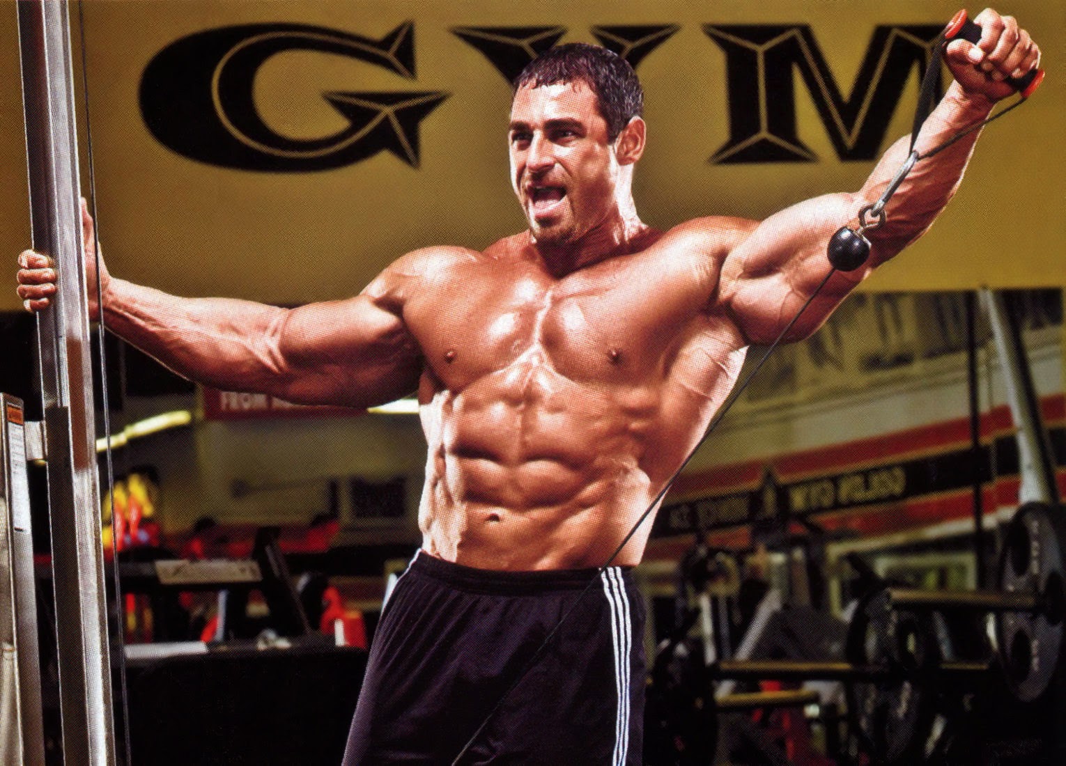 the beauty of male muscle: Mark