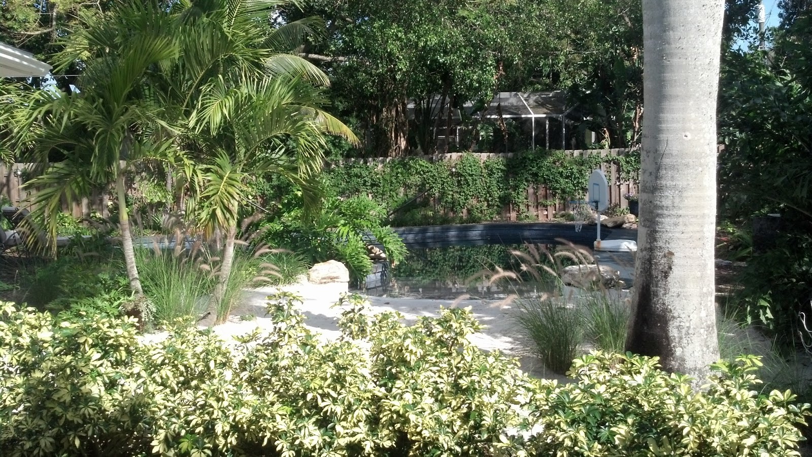 Jeremy's Swimming Pools: Boring pool