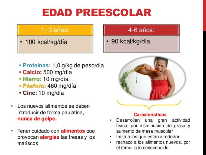 Nutrición para el futuro: Alimentación preescolar y escolar
