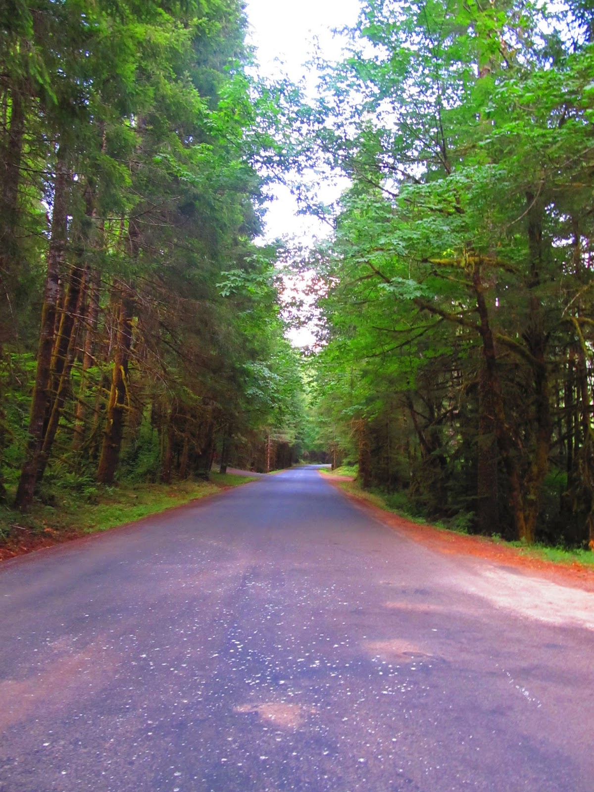 The Closet Hippo: Camping at Yellow Bottom on Quartzville Creek