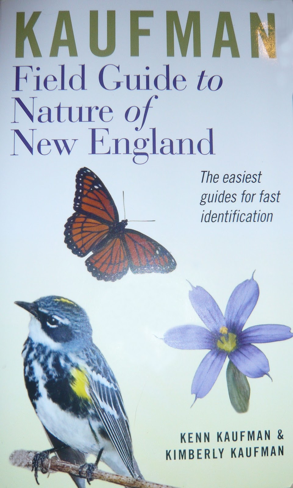 The Next Kaufman Field Guide!