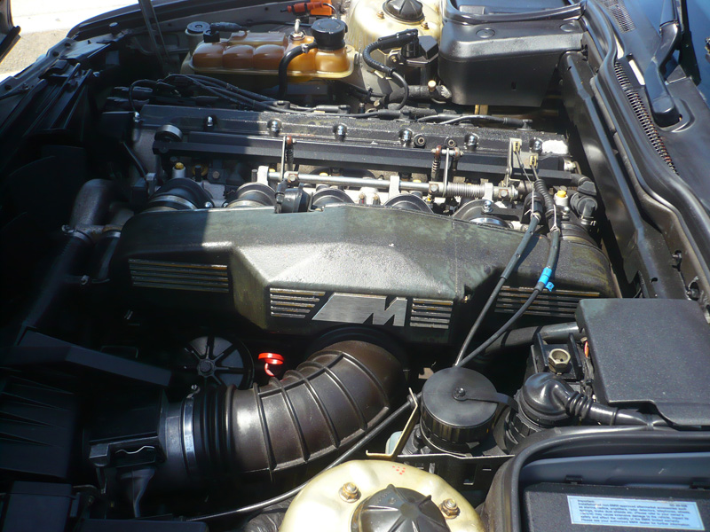 My 1991 BMW E34 M5: BMW M5 S38 Race Engine