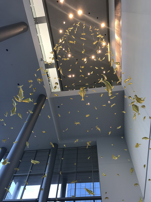 BB: Suspended Animation