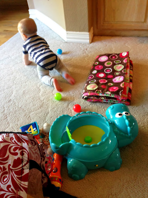 PB+J Babes: Baby Paparazzi /pɑːpəˈrɑːtsi/, /pæpəˈrætsi