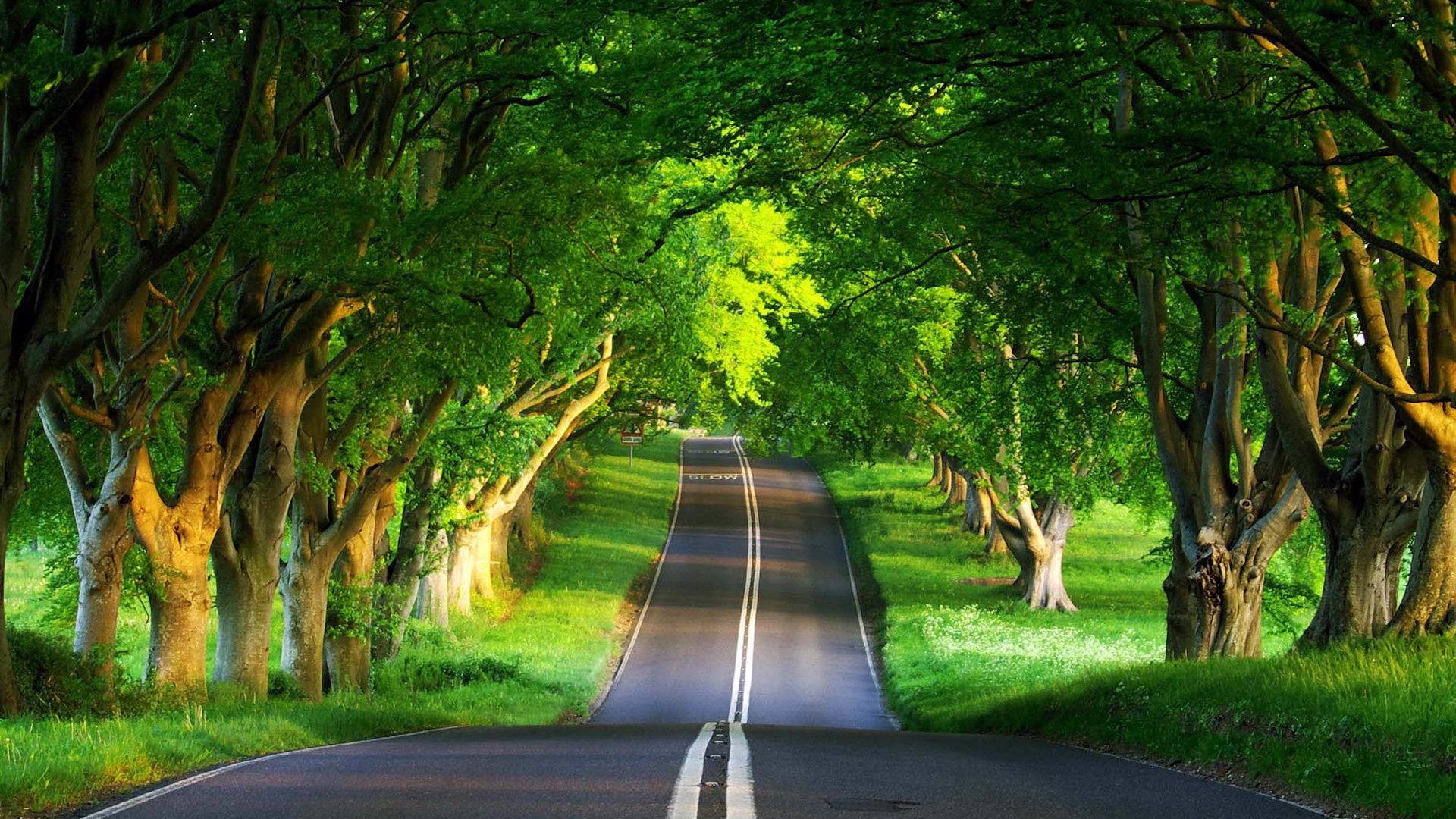 Green Road - High Definition Wallpapers - HD wallpapers