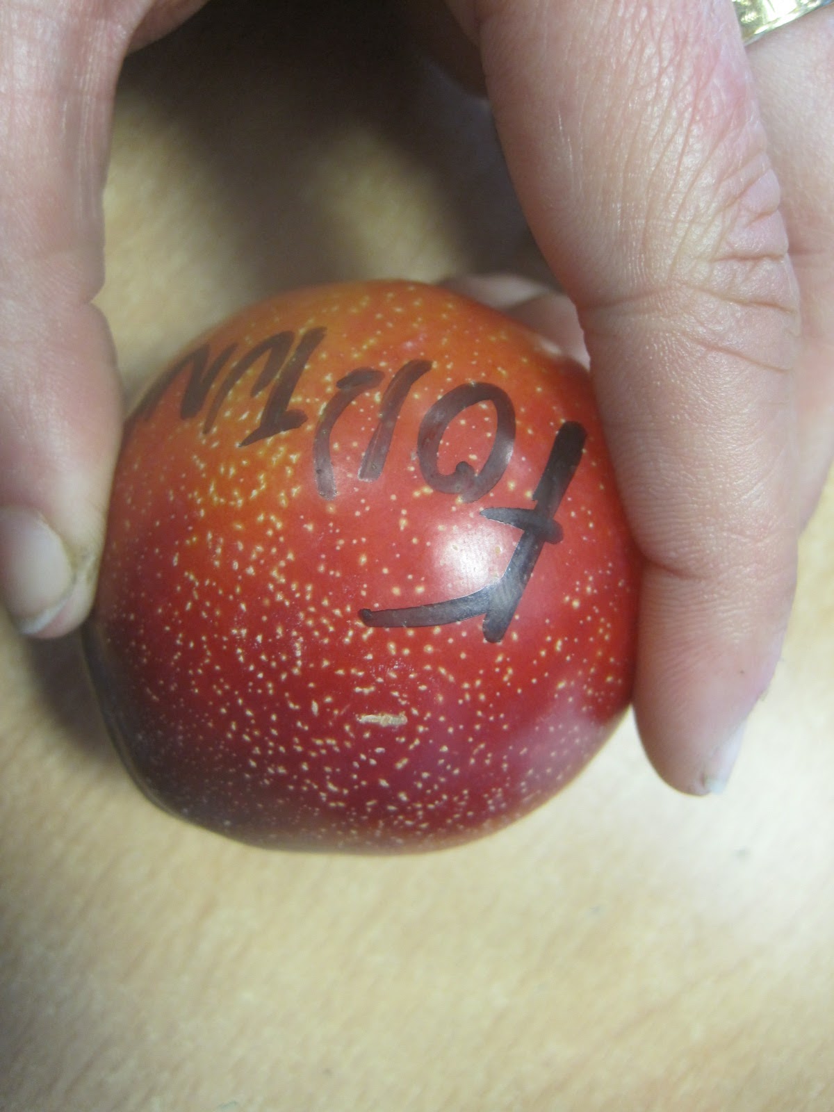 Ciruelas. Variedades.Fotos