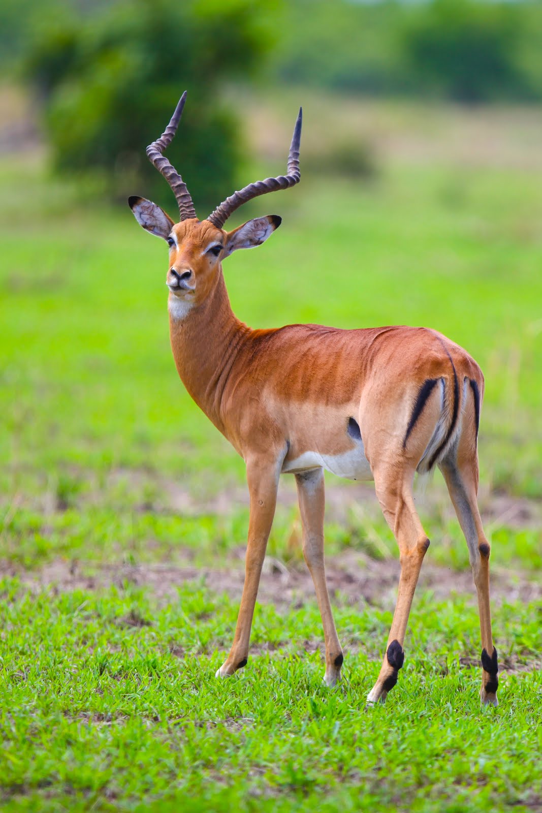 Grm Production: Mapambo weekend. Onja kidogo jinsi ukumbi wa mlimani ...