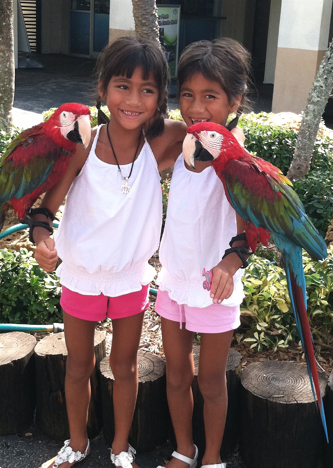 Anakai & Kacia: Gallery