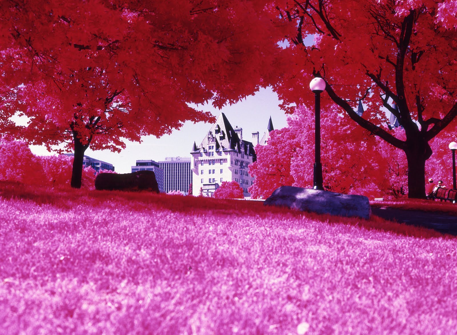 Chromaticmonastic: Kodak Aerochrome EIR Color Infrared Film