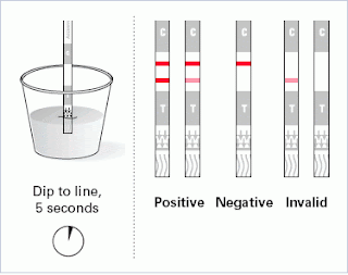 Keperawatan Sistem Reproduksi I: ASPEK BIOFISIK DALAM KEHAMILAN NORMAL