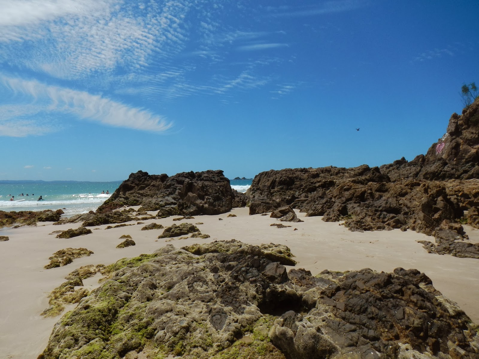 An Australian Wildlife Addict: Nguthungulli - Julian Rocks and the Cape ...