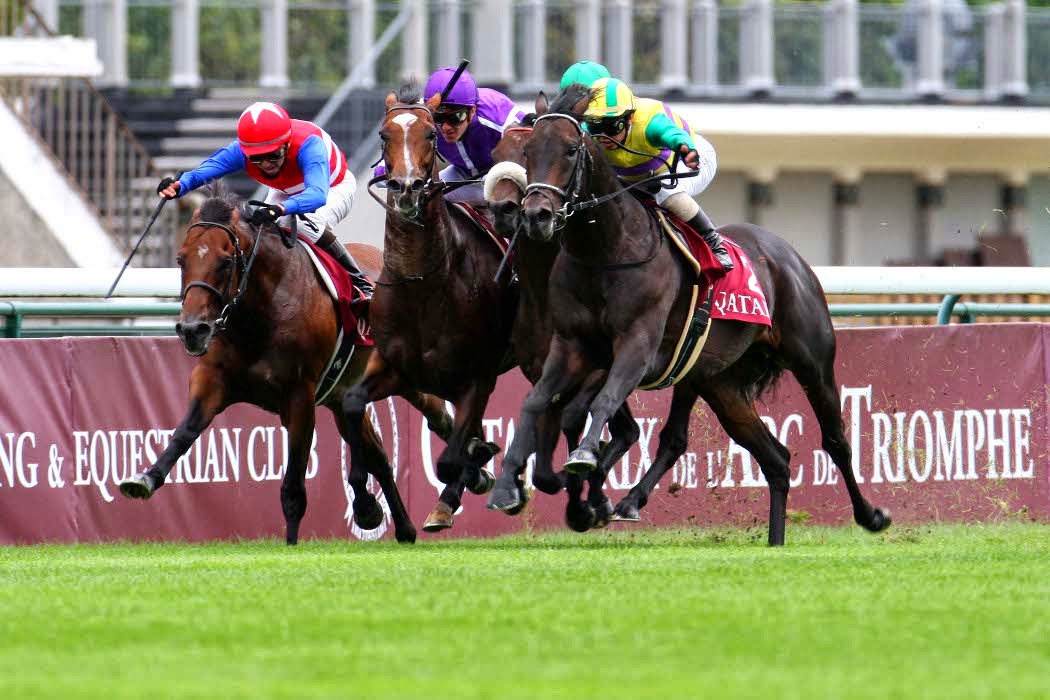 TURF: septembre 2013