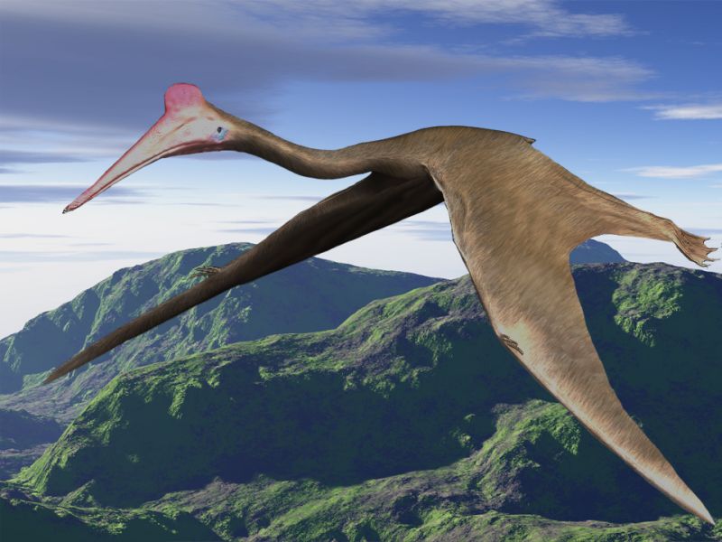 Spinops: Quetzalcoatlus northropi