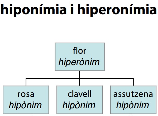 ENFILALL DE MOTS: SINÒNIMS, ANTÒNIMS, HIPERÒNIMS, HIPÒNIMS