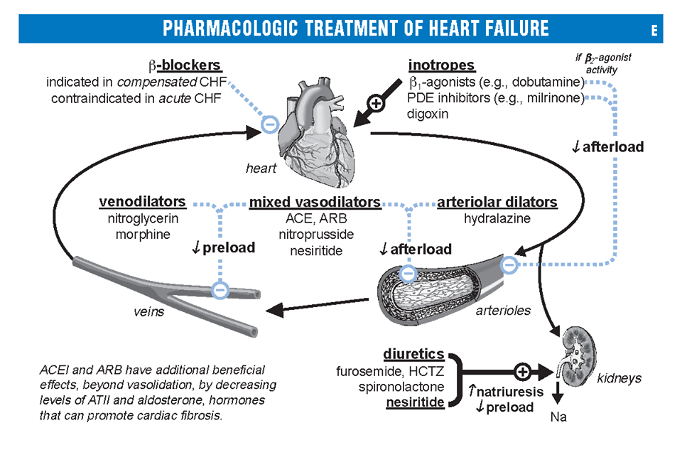 Pharmacologic Treatment of Heart Failure