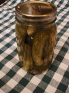 Preserving Food Traditions: My own pickle factory!