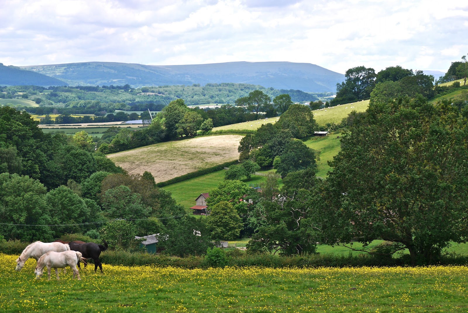 Walking in the country: Usk: Usk Castle and Gwehelog Common