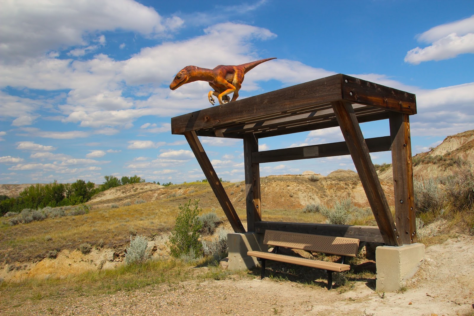 Get Me Outdoors: Dinosaur Provincial Park