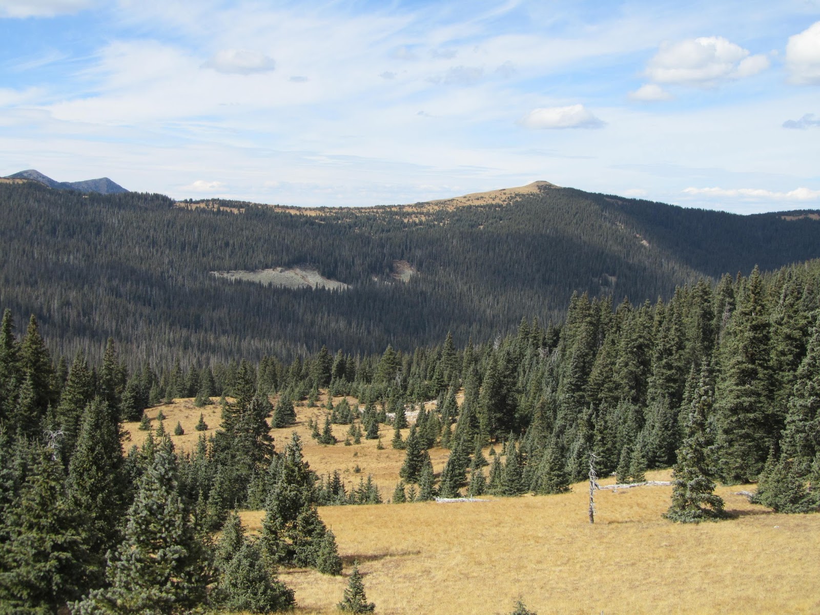 Tomcat's Outdoor Adventures: Backpacking New Mexico's Pecos Wilderness