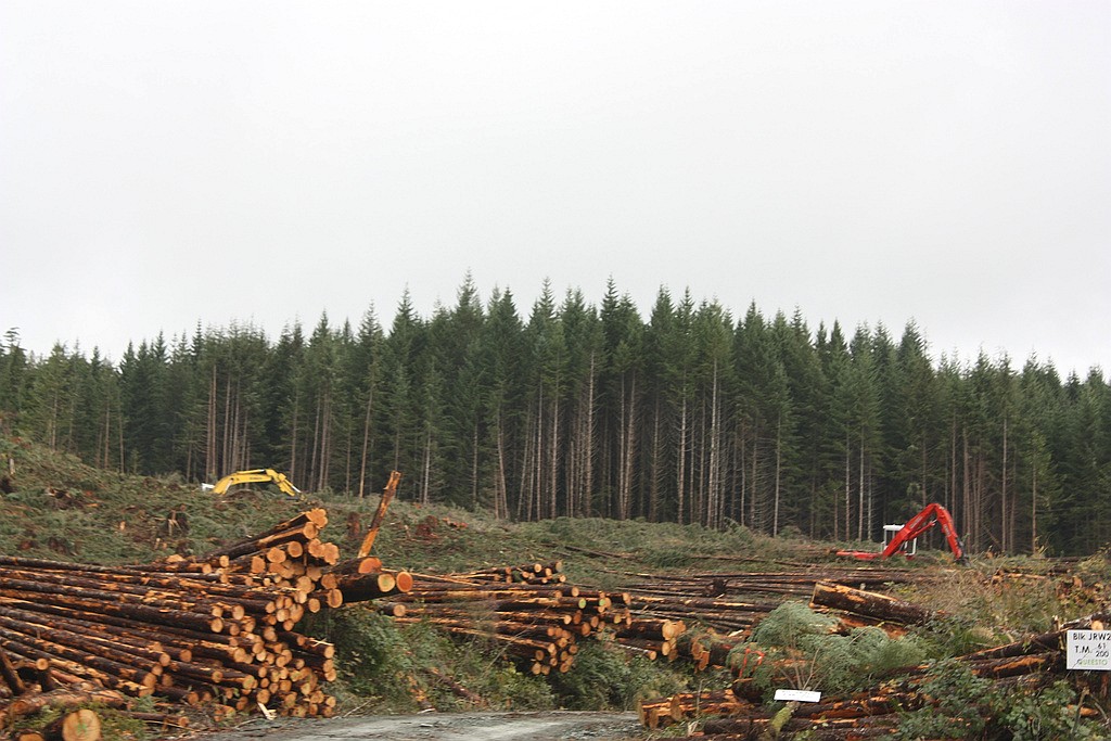Vancouver Island Clearcuts and Log Exports: Update: Clearcut logging ...
