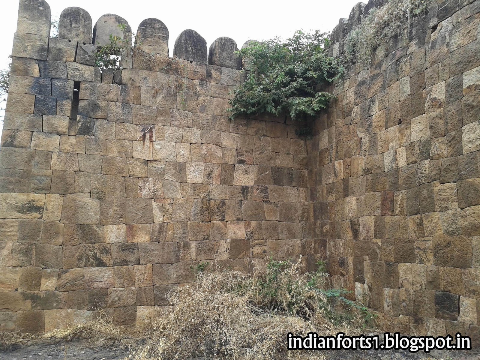 SIDDAVATAM FORT