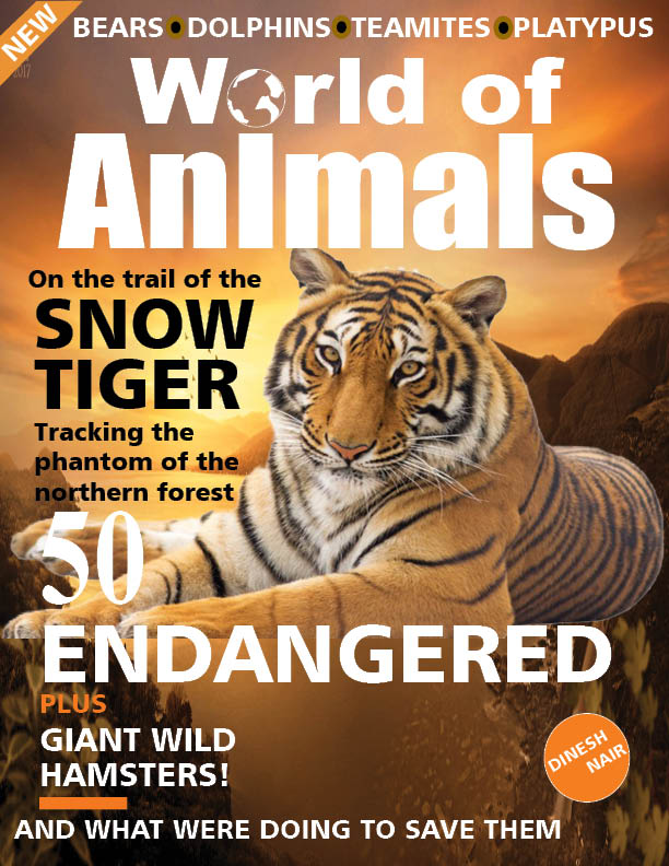 My Graphic InDesign World Of Animals Tiger Magzine Design.
