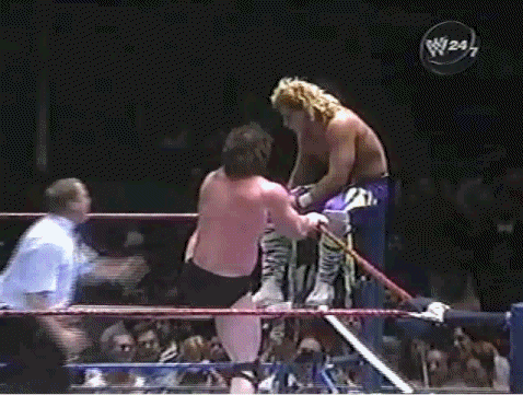 ProWresBlog: WWF Madison Square Garden 12/28/1990 - The Rockers vs ...