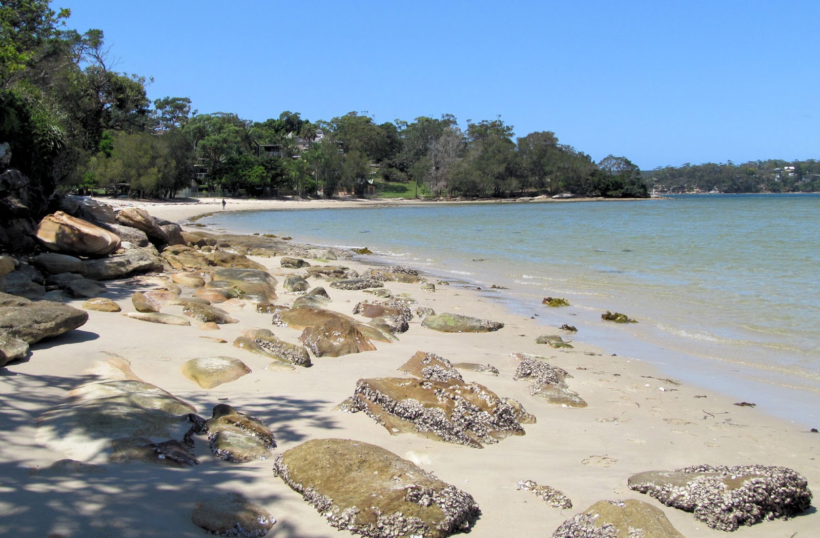 Gunnamatta Bay - Cronulla | Our Walks